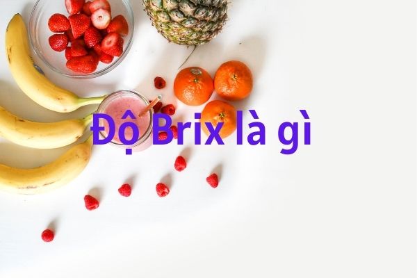 Độ Brix Là Gì? - THINHPHU.VN